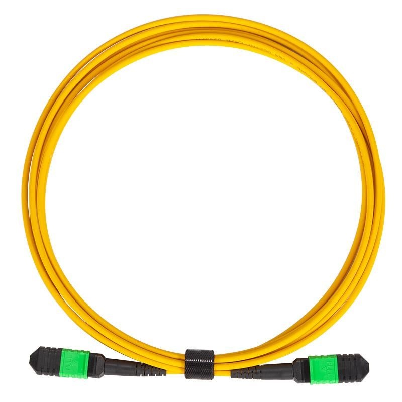 MPO/MTP Patch Cord
