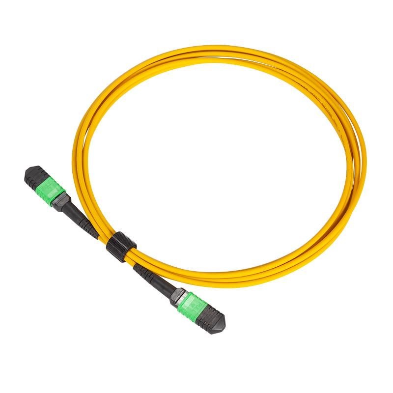 MPO/MTP Patch Cord