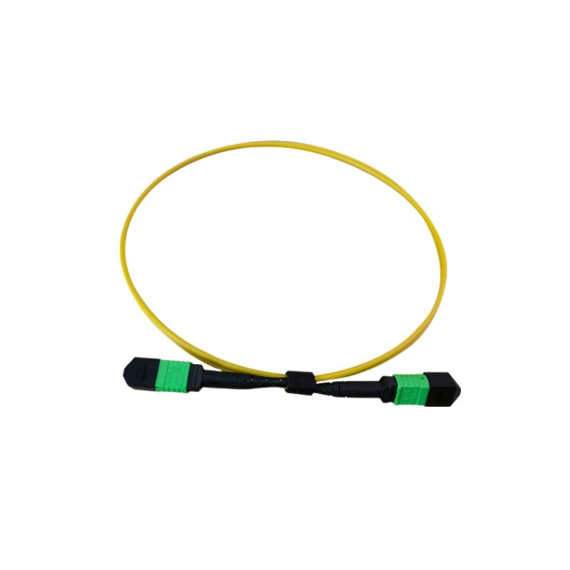 MPO/MTP Trunk Cable