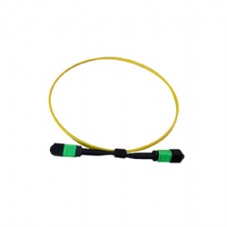 MPO/MTP Trunk Cable